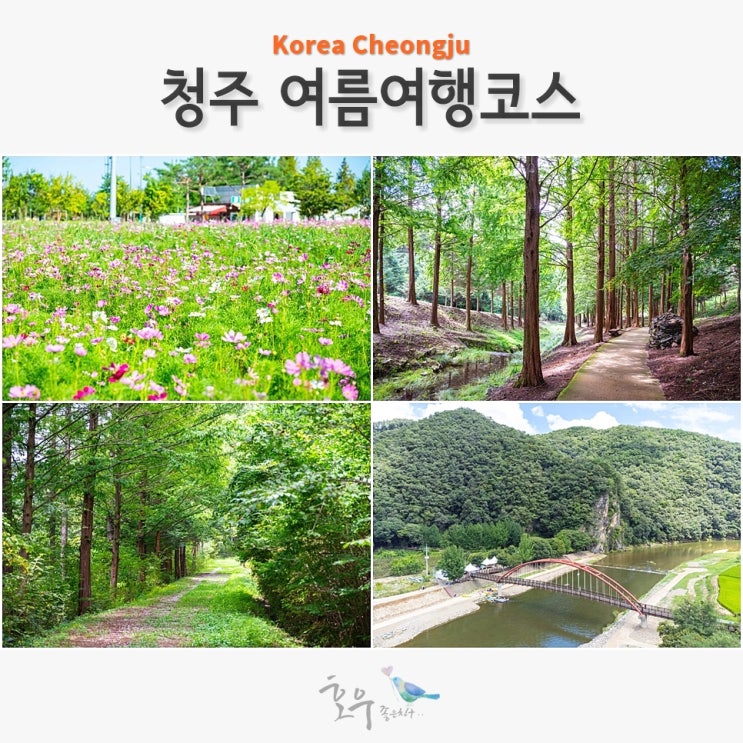 청주 여행 코스 여름 문암생태공원 미동산수목원 청석굴 카약 인공폭포 옥화자연휴양림 물놀이장 청주 가볼만한곳 근교 나들이 드라이브