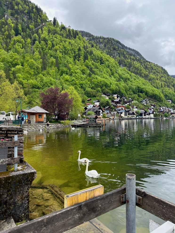 오스트리아 여행 Day8 / 할슈타트, 호엔잘츠부르크성 야경 : 네이버 블로그