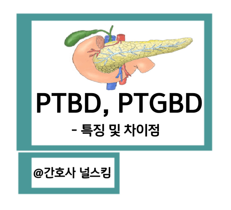 PTBD PTGBD 차이 관리 간호 : 네이버 블로그