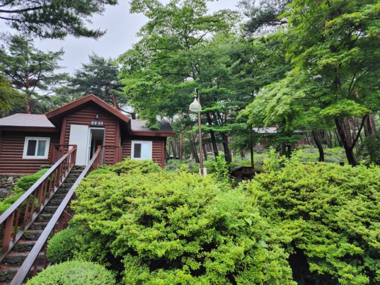 경북 영덕 숙소 국립 칠보산자연휴양림 숲속의 집 숙박후기 11인실 참나리 8인실 생강나무 2탄 네이버 블로그