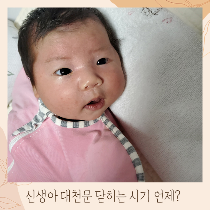 신생아 대천문 닫히는 시기 언제 아기 소천문 위치 네이버 블로그