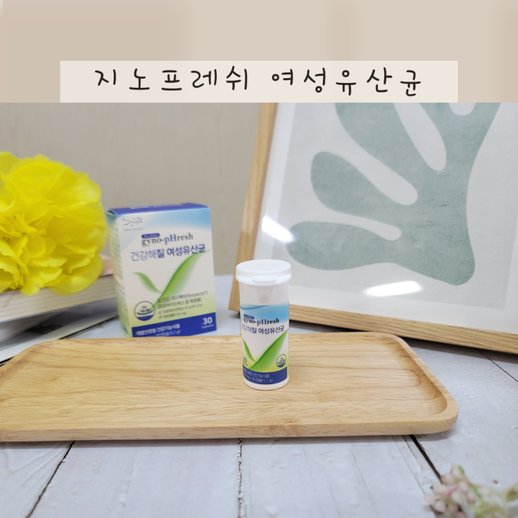 리스펙타 락토페린 여성 질유산균 효과 지노프레쉬 건강해질 여성유산균 추천 네이버 블로그