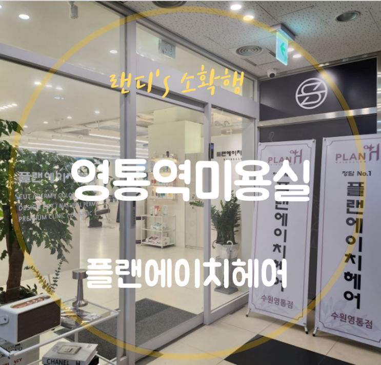영통역미용실 플랜에이치헤어 염색후기 한솔디자이너 네이버 블로그