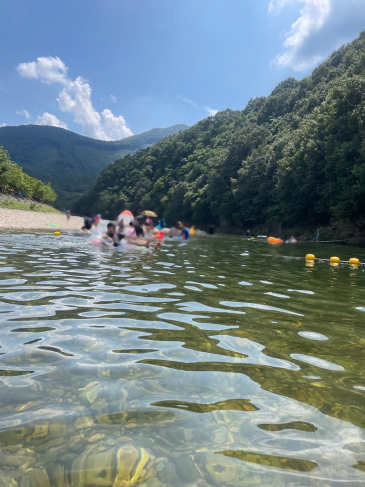 주말일상 완주 동상계곡 물놀이 청룡가든 닭백숙 수영장 평상대여 And햇빛화상 네이버 블로그