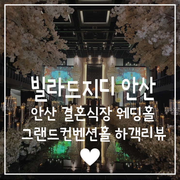 빌라드지디 안산 뷔페 주차 그랜드 컨벤션홀 안산 웨딩홀 하객리뷰 네이버 블로그