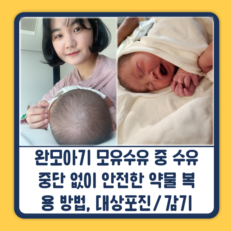 완모아기 모유수유 중 수유 중단 없이 안전한 약물 복용 방법 락트메드 모유수유 대상포진약 모유수유 감기약 네이버 블로그
