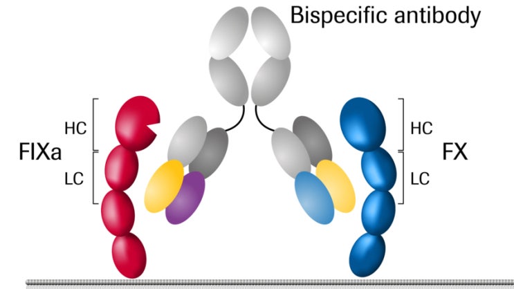혈우병A 치료제 에미시주맙(Emicizumab,Hemlibra®) 성상과 전망 : 네이버 블로그