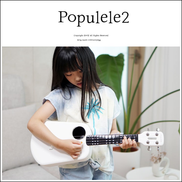 어쿠스틱기타 대신 독학용 Populele2 스마트 우쿨렐레 : 네이버 블로그