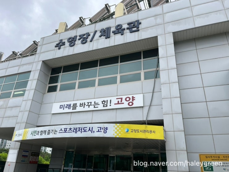 일산 실내수영장 고양 어울림누리 꽃우물수영장 자유수영 후기 고양 일산 Ymca 수영장 비교 네이버 블로그