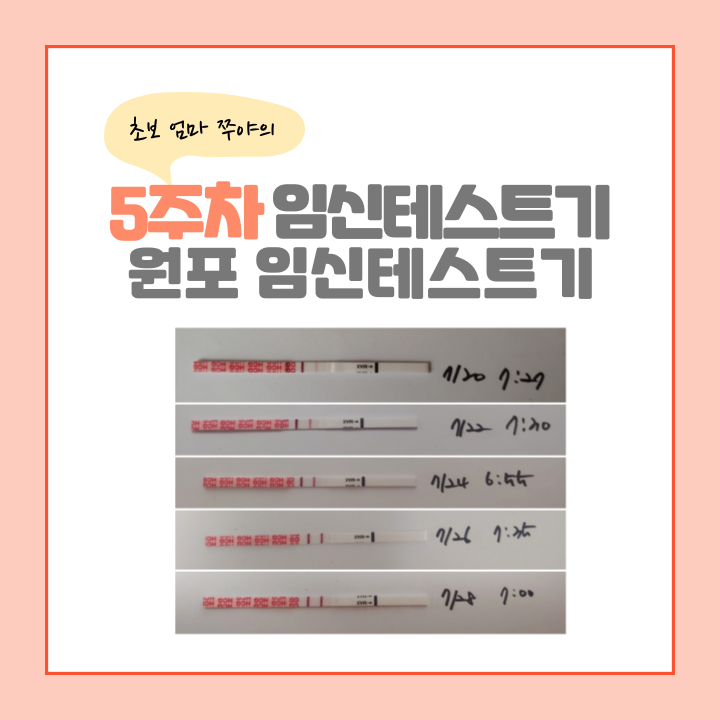임신테스트기 임테기 생리예정일 이후 원포 임신테스트기 해보기 임신 5주차 네이버 블로그