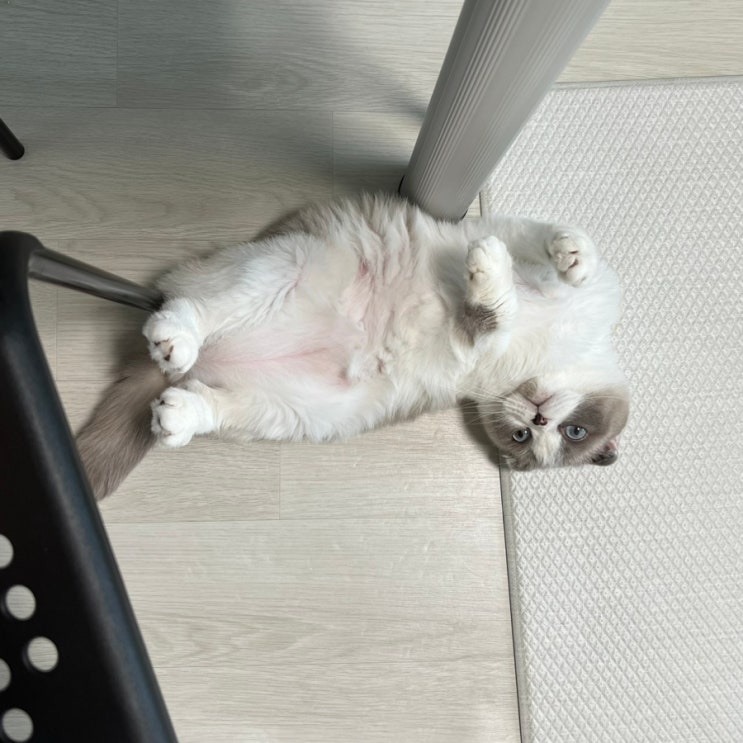 7 8 9 소영 일상 : 네이버 블로그