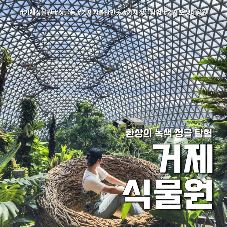 거제식물원 가볼만한 포토존 정리feat 거제정글돔 녹색탐험 네이버 블로그