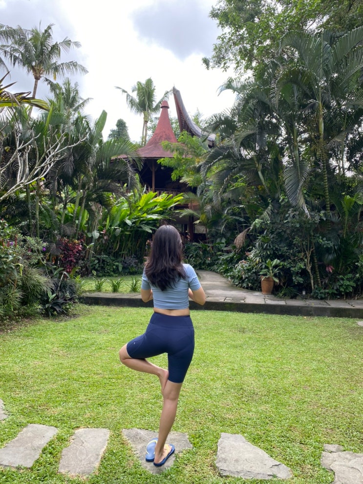 2023 7월 발리 | 우붓 : 네이버 블로그