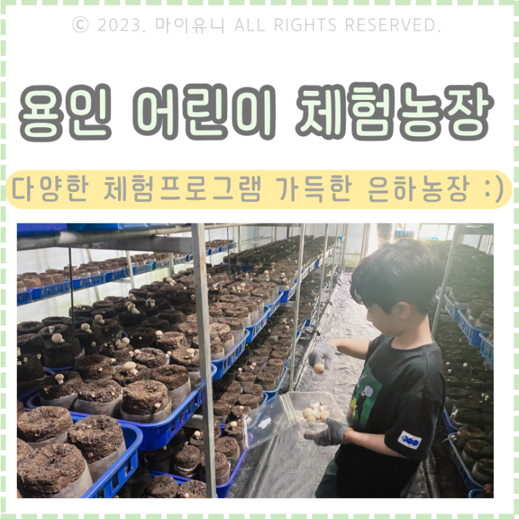 용인 체험농장 버섯체험 팜크닉 은하농장 경기도 아이와 가볼만한곳 네이버 블로그