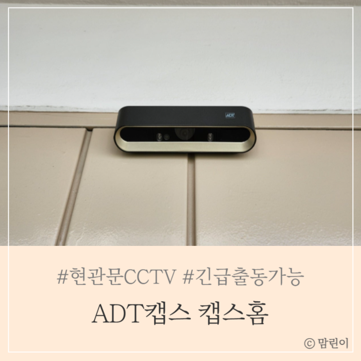 현관 CCTV ADT캡스 캡스홈, 택배분실 없이 안전하게! : 네이버 블로그