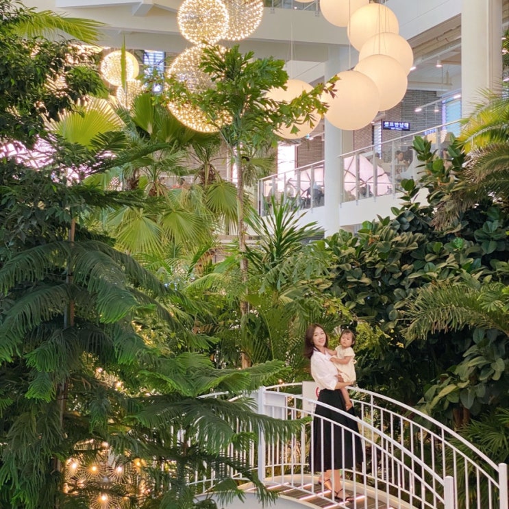 메뉴 다양한 대형 식물원 카페 아기와 함께 인천 송도 가볼만한곳 핫플 포레스트아웃팅스 🌴 네이버 블로그