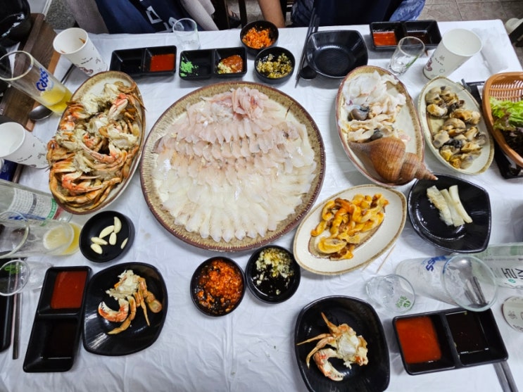강릉항회센터안목항회센터명열강릉안목자연산회박철수박철수교수덕산박철수교수맛집추천박철수교수맛집탐방맛집탐방기