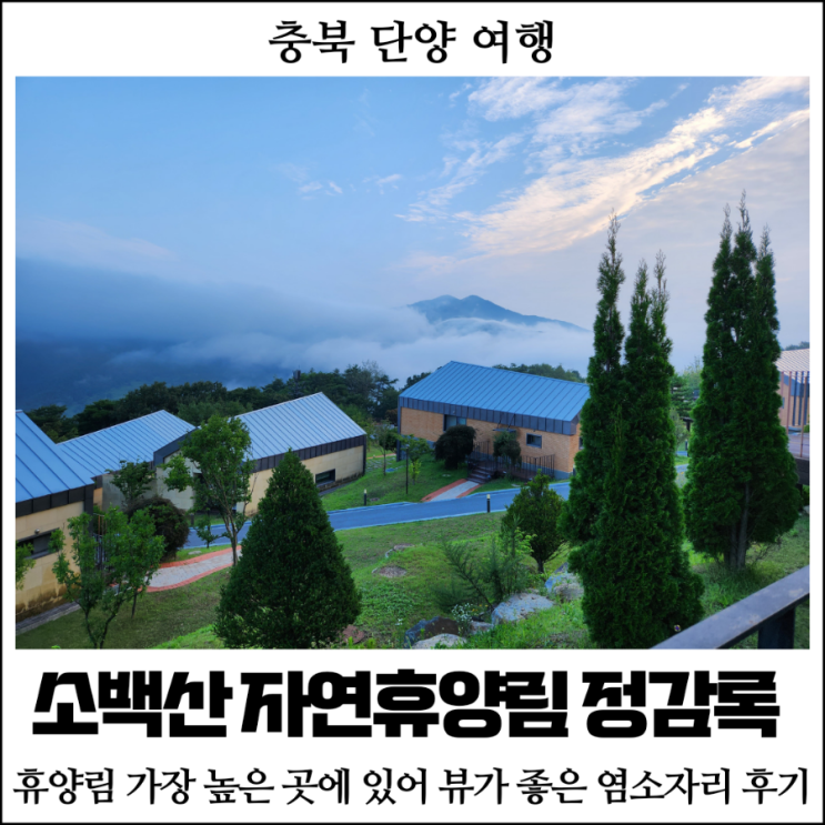 충북 단양 소백산 자연휴양림 정감록 소백산 염소자리 후기 정감록 염소자리 염소자리 뷰 단양 숙소 신축 자연휴양림