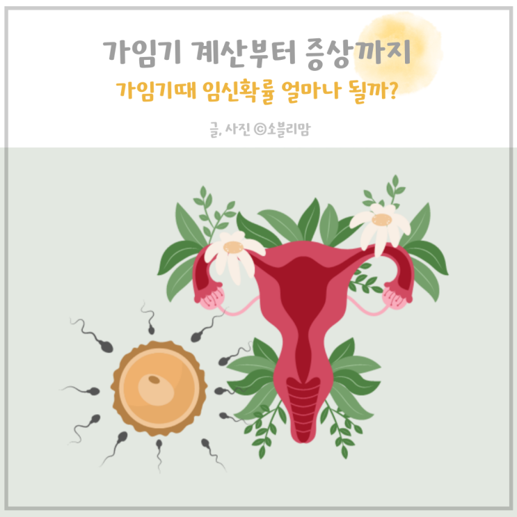 가임기때 임신확률 배란일 뜻 가임기 뜻 가임기 배란일 계산기 증상 네이버 블로그