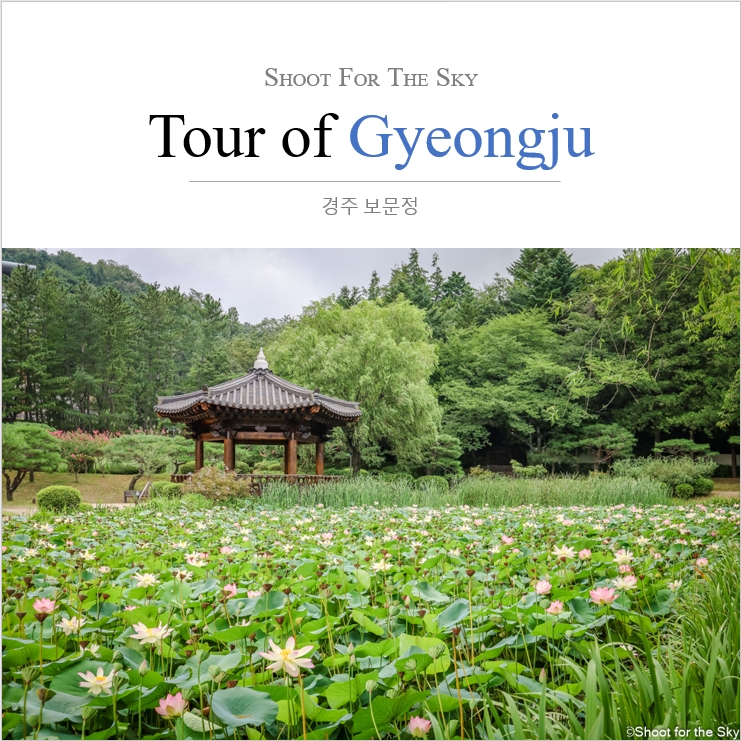 경주 여행지 갈만한곳 경주 보문정 산책로 연꽃 사진찍기 좋은곳 네이버 블로그