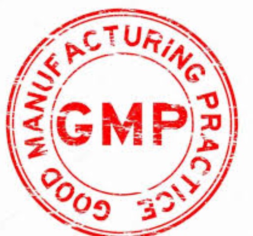 [바이오] GMP : 네이버 블로그
