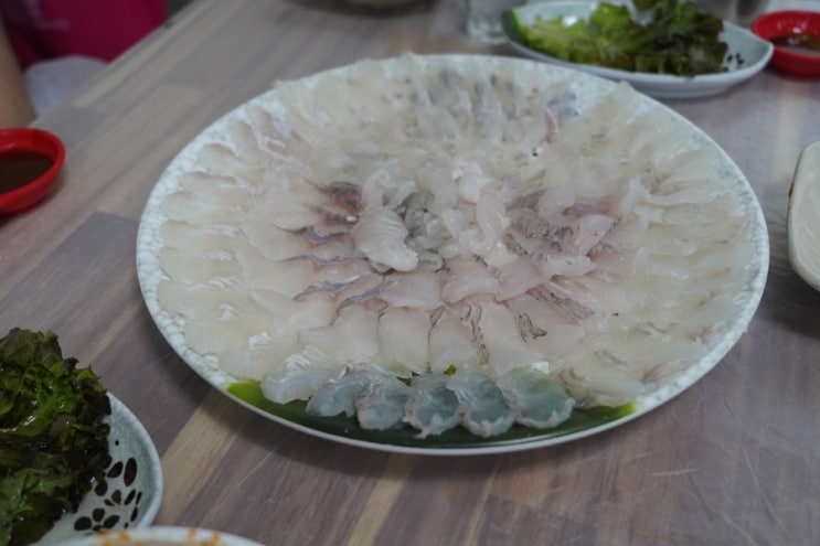 속초에서 맛본 최고의 회 속초 회집 백승호횟집 대포동 횟집 대포동 맛집 네이버 블로그