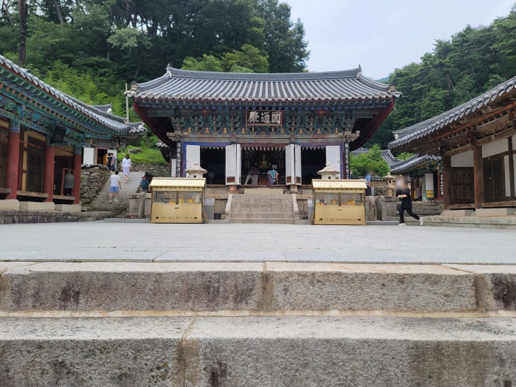 맑은 계곡물 콸콸, 파계사. feat. 고양이 악몽 : 네이버 블로그