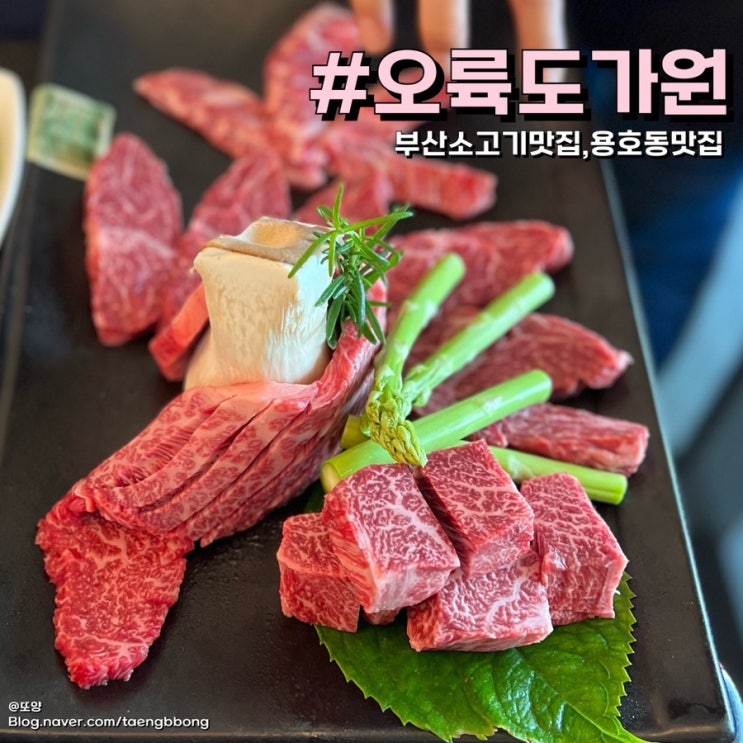 부산 한우 맛집 용호동 오륙도가원 후기 뷰 좋은 계모임장소 추천 네이버 블로그
