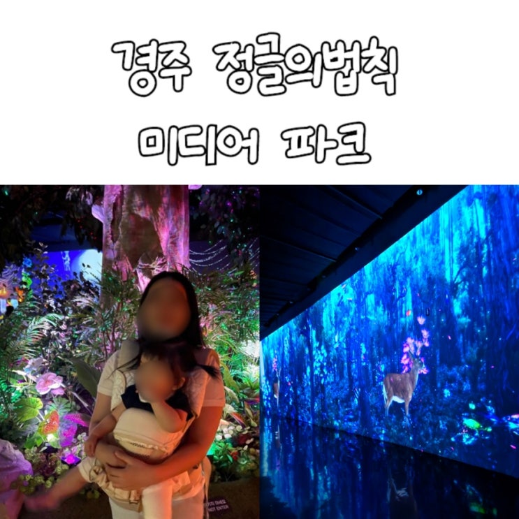 경주 정글의법칙 미디어파크 입장료 티켓 할인 주차 총정리아이와 가볼만한곳 경주 체험 및 볼거리비오는날 실내 주말 데이트