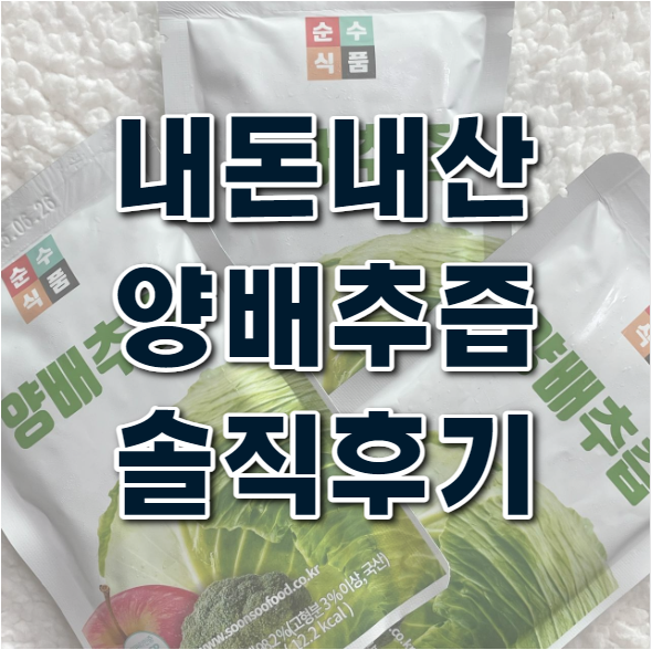 일상내돈내산 역류성 식도염에 좋은 양배추즙 솔직 후기 네이버 블로그