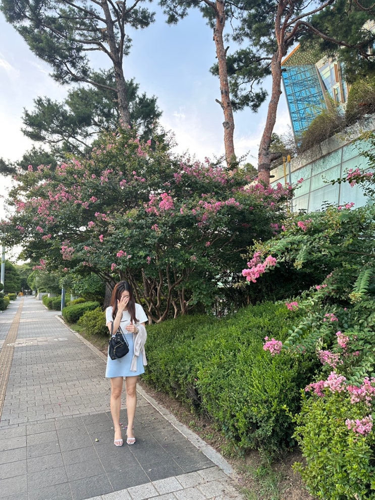 Sie 시에 여름 데일리룩 레이나 코튼 티셔츠 라일리 미니 스커트 썸미니 가디건 밀키베이지🩶 네이버 블로그