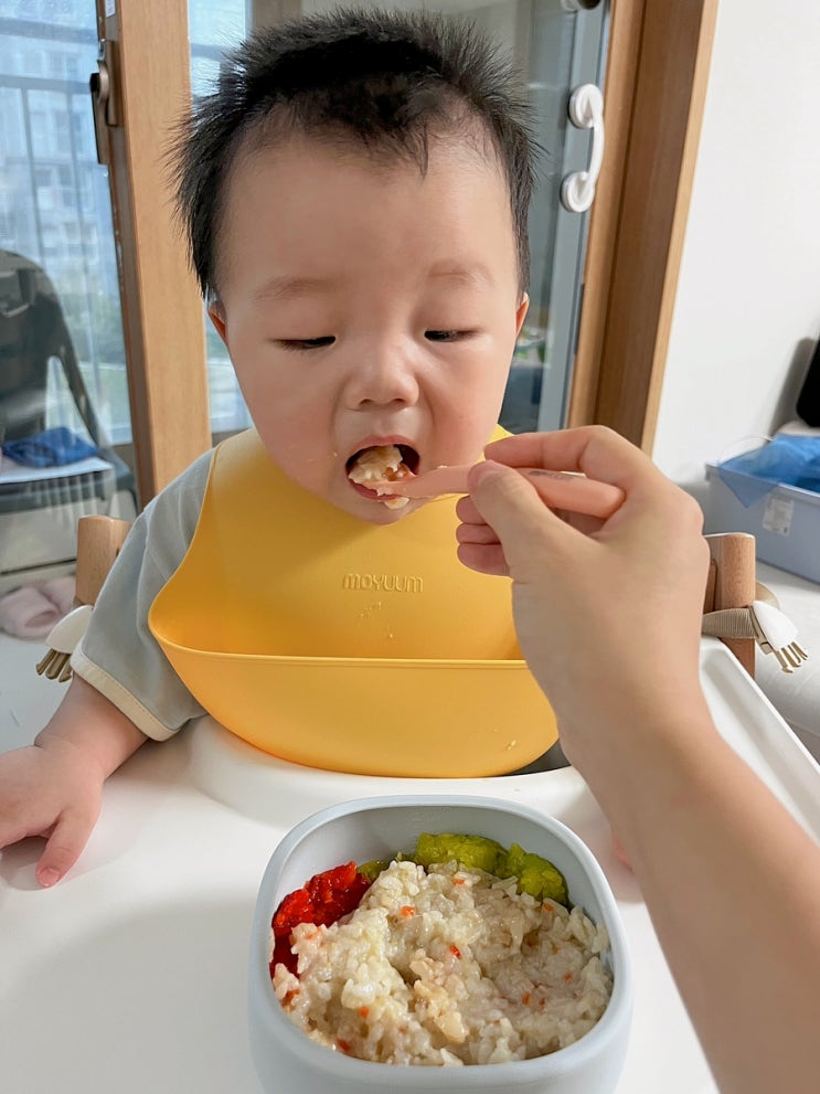 10개월아기 자기주도이유식으로 모윰 흡착식판 흡착볼 사용해요 네이버 블로그