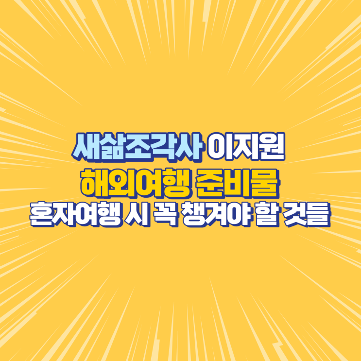 해외여행 준비물 혼자여행 시 꼭 챙겨야 할 것들 네이버 블로그