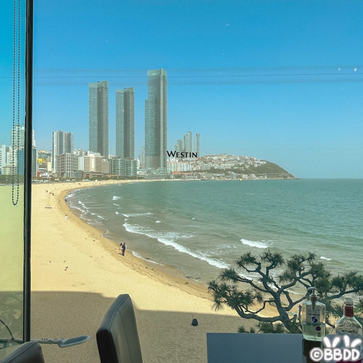 부산맛집 해운대 웨스틴조선 뷔페 까밀리아 평일 런치 메뉴 등 후기 네이버 블로그