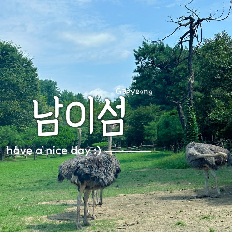 가평 남이섬 입장권 할인 놀거리 식당 카페 차없이 가는법 가평 남이섬 네이버 블로그