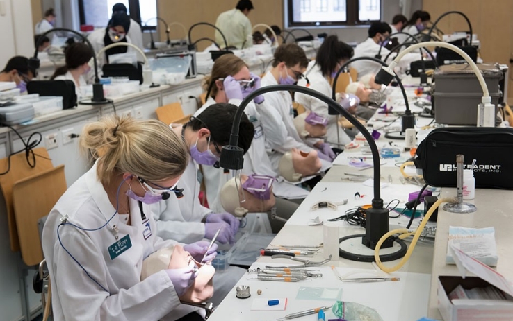 NYUCD ( New York University College of Dentistry) 합격한 스펙들의 특징은? : 네이버 블로그