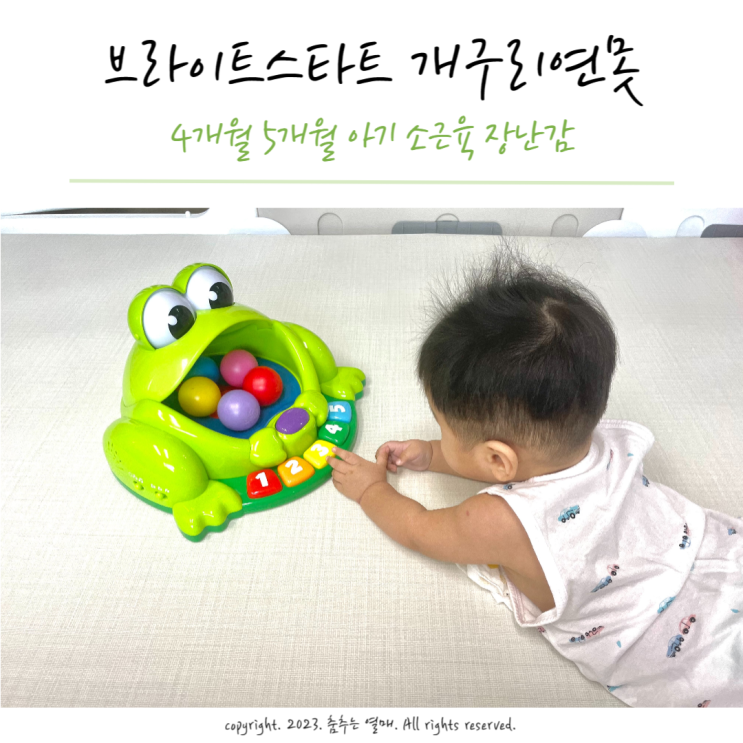 브라이트스타트 개구리연못 장난감 공 4개월 5개월 아기 소근육 네이버 블로그