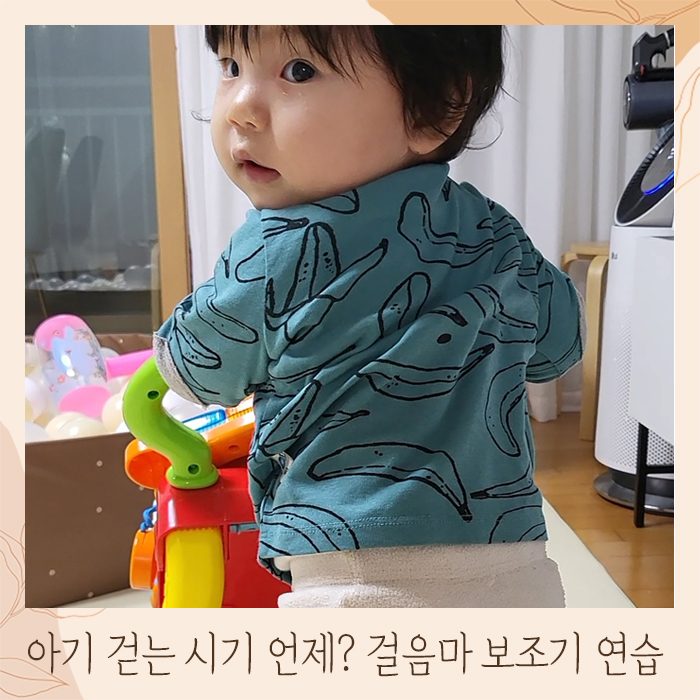아기 걷는 시기 언제 걸음마 보조기 연습 방법 네이버 블로그