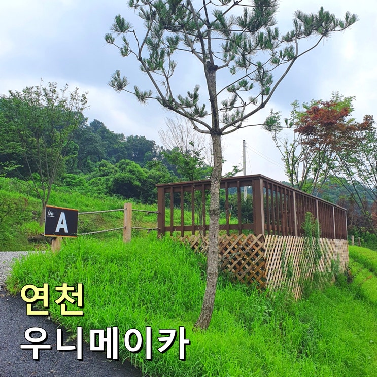우니메이카 연천 경기도 캠핑장 D2 개별화장실 우중캠핑 네이버 블로그