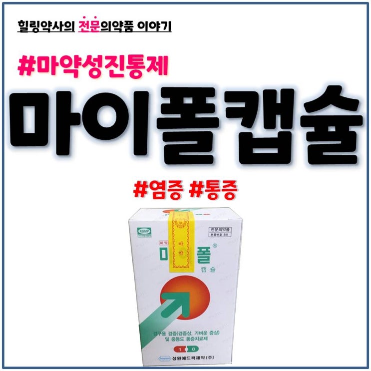 마이폴캡슐 마약성진통제 급성 중등도 통증 약 치료제 효능 효과 성분 부작용 복용법 마이폴캅셀 네이버 블로그