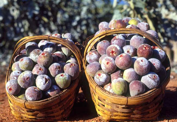 예레미야 24장 5-7절말씀 : 네이버 블로그