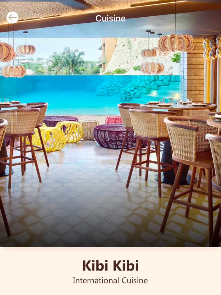 E. 칸쿤맛집 : 스칼렛아르떼 키비키비 Kibi Kibi 디너 : 네이버 블로그