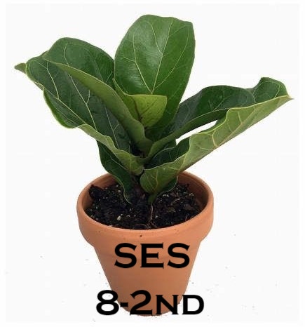 [SES 8월 2주차] 청년실업 50만 시대 경제정책적 해결방안 PT발표 // 뉴스스크랩 : 네이버 블로그