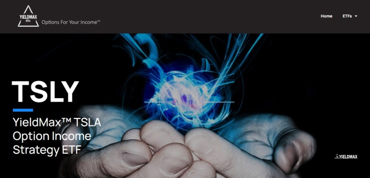 테슬라 관련주 단일 ETF 미국 고배당주 TSLY 투자 : 네이버 블로그