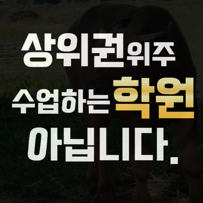 기흥 중학생 보라동 종합학원 근처 고등 영수학원 성장해요 네이버 블로그