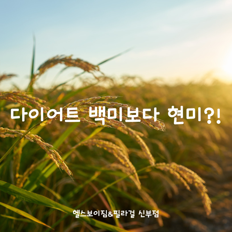 다이어트 백미보다 현미 헬스보이짐and필라걸 신부점 천안 다이어트 신부동 헬스장 천안 연중무휴 헬스장 천안 필라테스 천안 스피닝