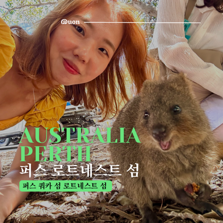 호주 퍼스 호주 여행 퍼스 가볼 만한 곳 쿼카가 있는 로트네스트 섬 쿼카랑 셀피 사진 찍기 네이버 블로그