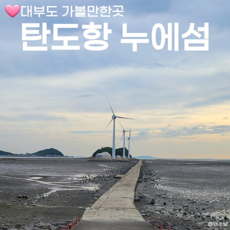 대부도 가볼만한곳 탄도항 물때 킹더랜드 촬영지 누에섬 전망대 주차장 네이버 블로그
