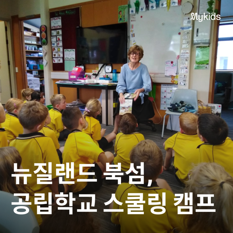 겨울방학 영어캠프 추천 청정 자연 뉴질랜드 현지 공립학교 스쿨링 비용 프로그램 등 네이버 블로그