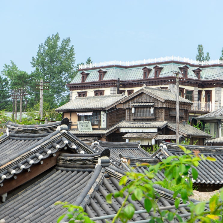 논산 가볼만한곳 미스터션샤인 촬영지 선샤인랜드 입장료 네이버 블로그